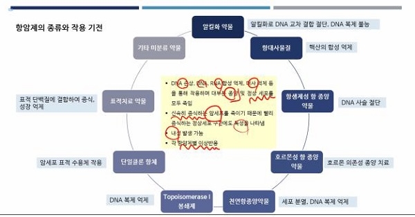 서울여자간호대 ‘기초 간호학습능력향상 프로그램 운영